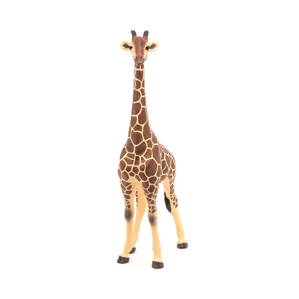 Papo Male Giraffe | Mastermind Toys