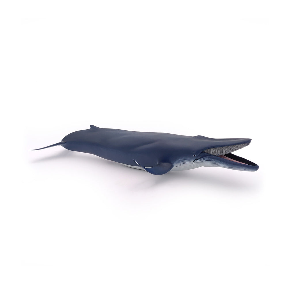 Papo Blue Whale - Mastermind Toys
