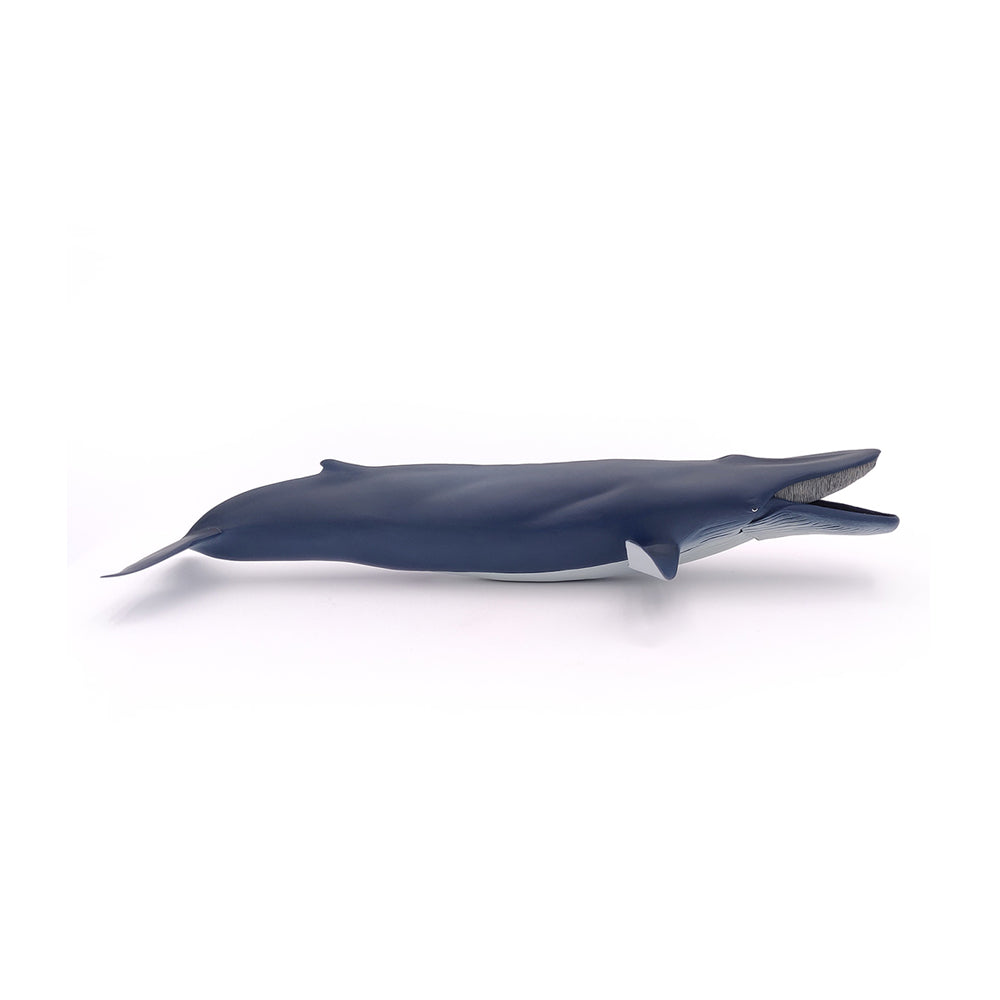 Papo Blue Whale - Mastermind Toys