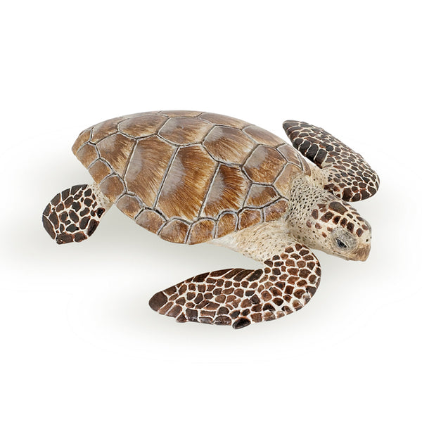 Papo Loggerhead turtle Figure | Mastermind Toys