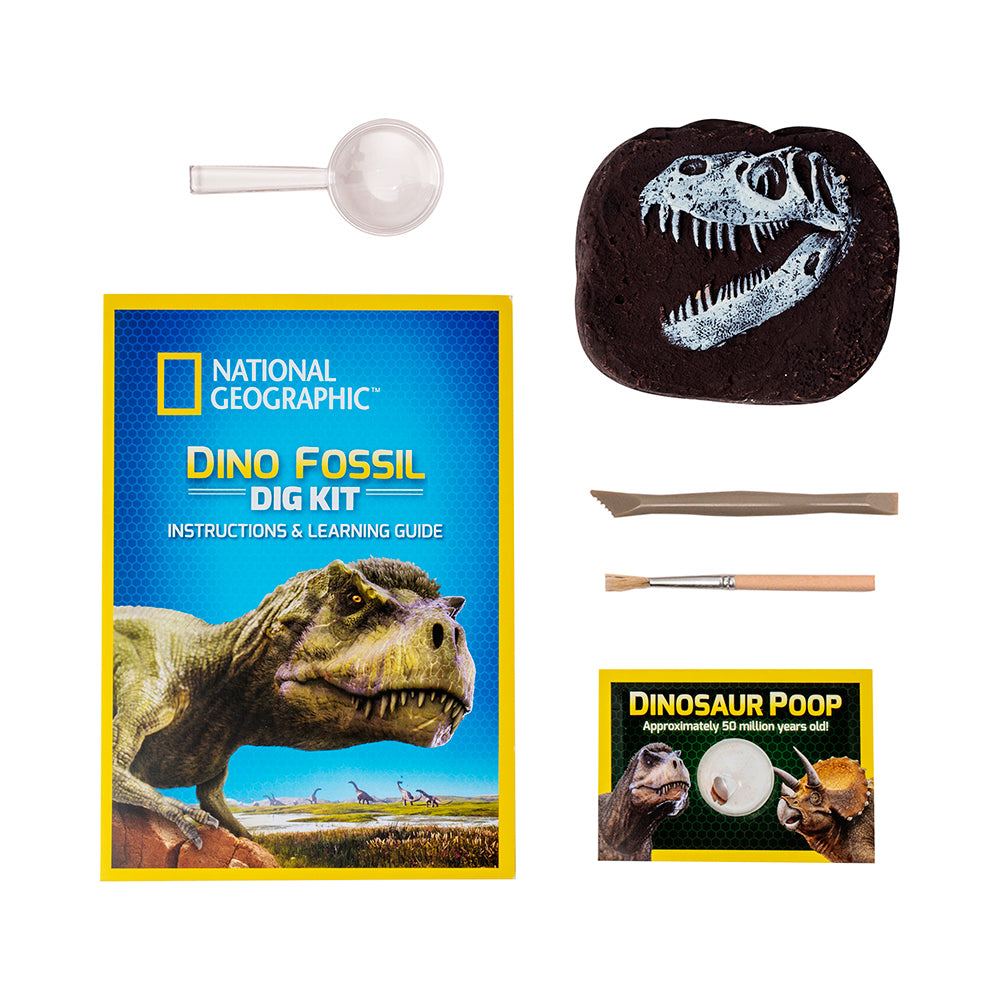 National Geographic Dino Dig Kit | Mastermind Toys