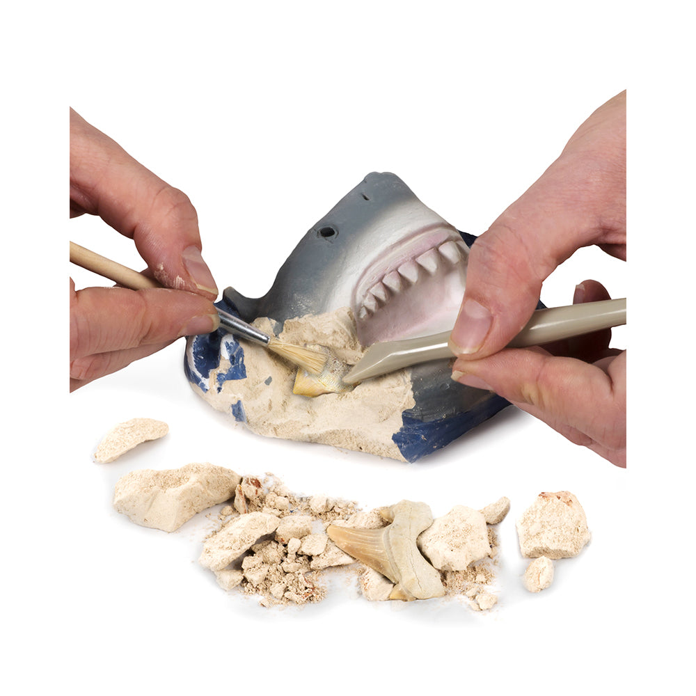 National Geographic Shark Tooth Dig Kit - Mastermind Toys