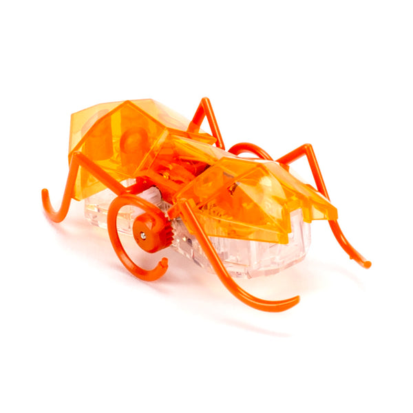 Hexbug Micro Ant Assorted | Mastermind Toys