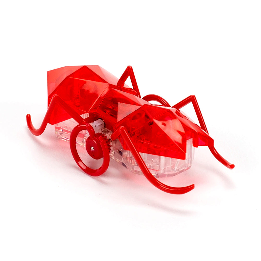 Hexbug Micro Ant Assorted - Mastermind Toys