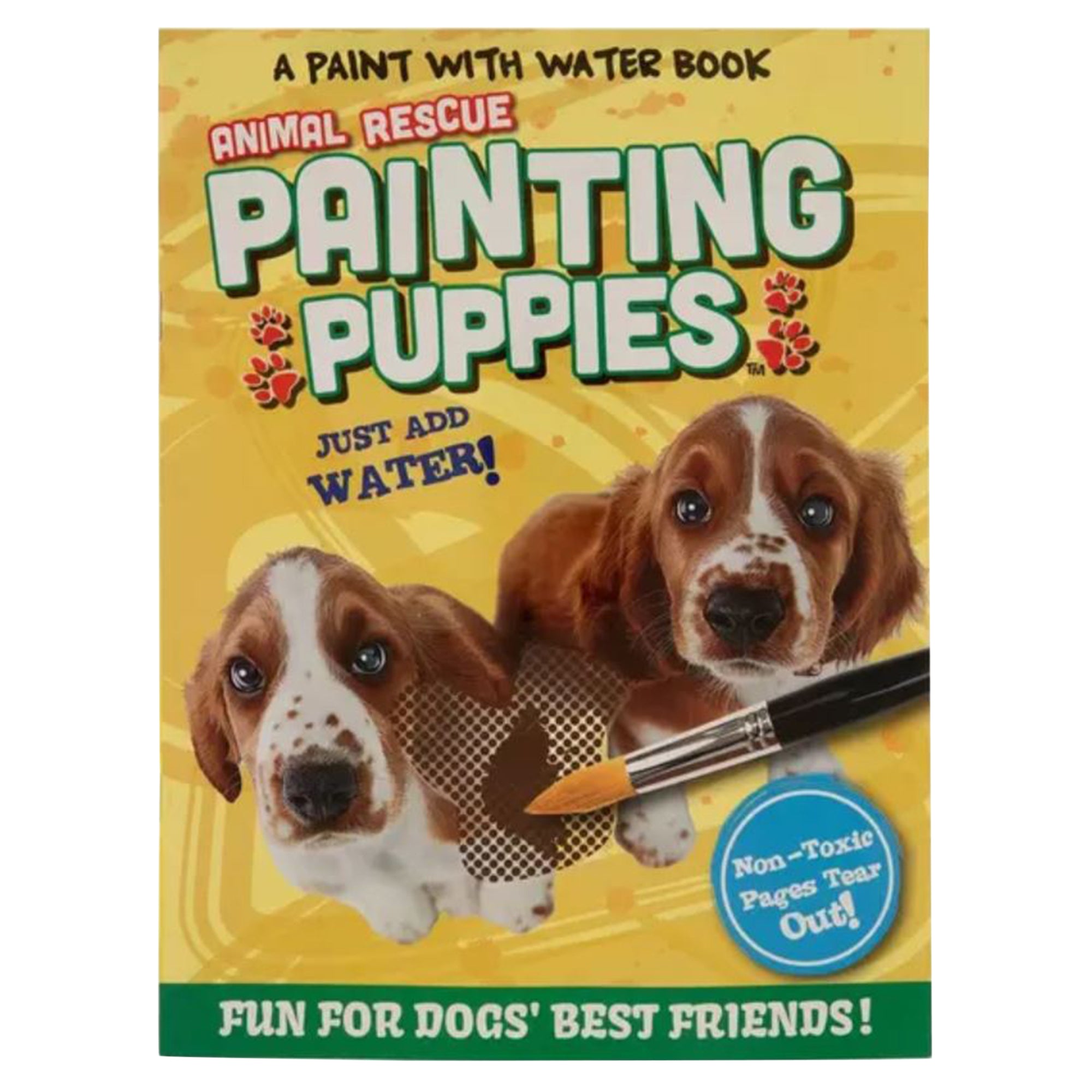 LPWW - Amimal Rescue Paint With Water – Mastermind Toys