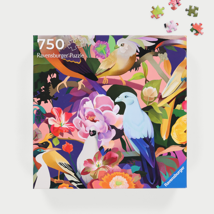 Puzzles Mastermind Toys