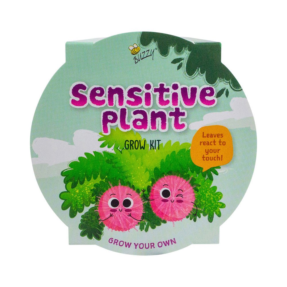 Buzzy Seeds Kids Pntd Mini Basin - Sensitive Plant – Mastermind Toys
