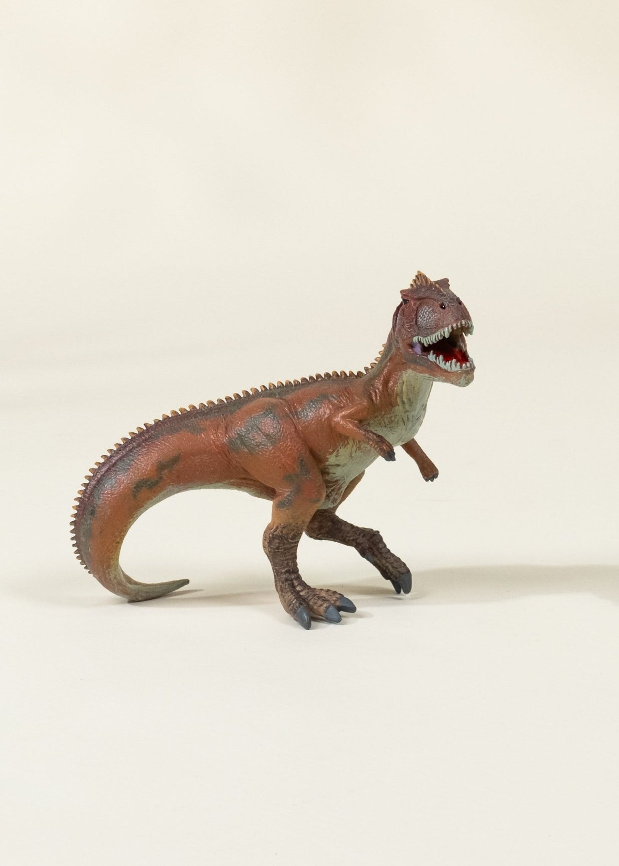 Coco Village Giganotosaurus Dinosaur in a Collectible Box – Mastermind Toys