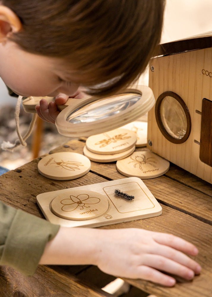 Coco Village Wooden Bug House - Mastermind Toys