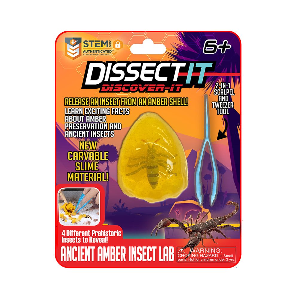 Dissect It - Discover It-Ancient Amber Lab – Mastermind Toys
