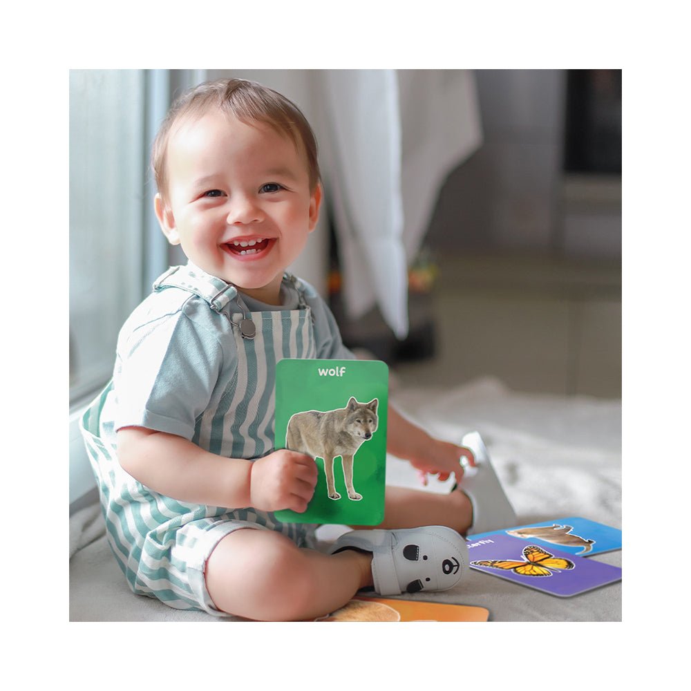 First 100 Animals Flash Cards – Mastermind Toys