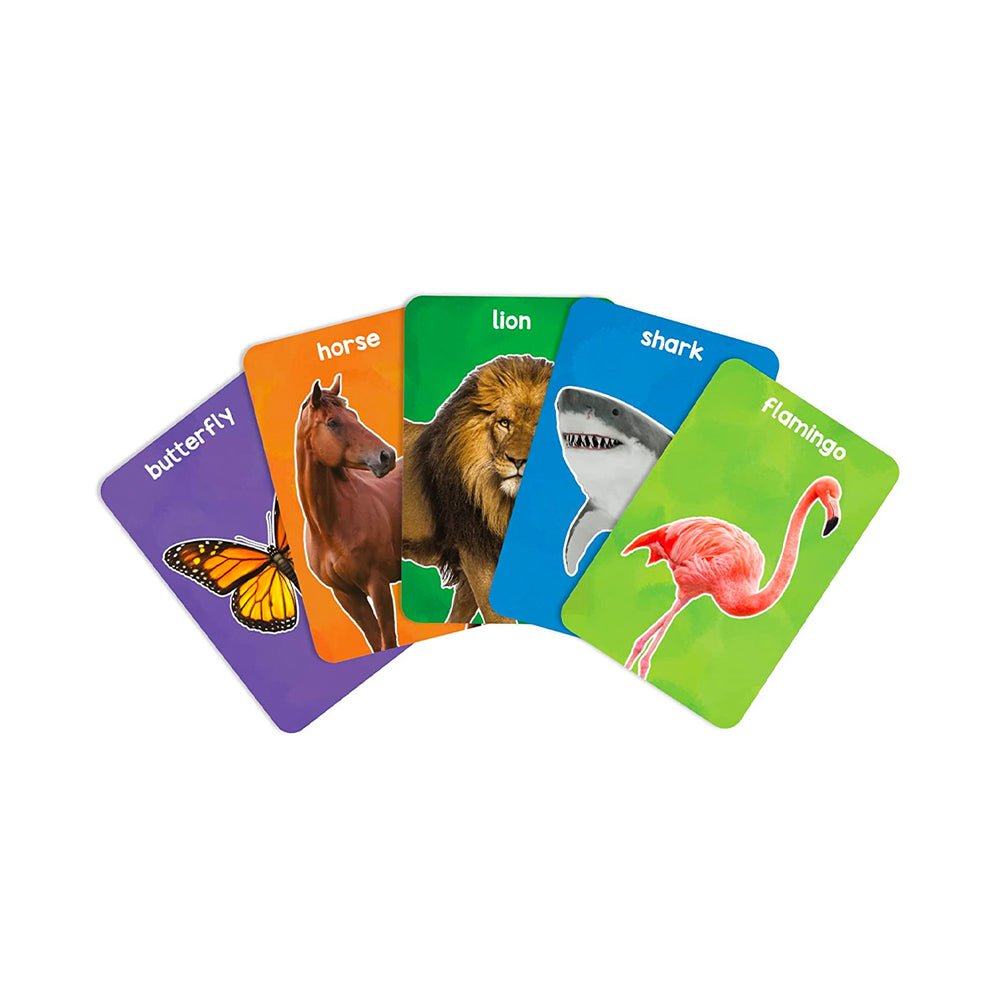 First 100 Animals Flash Cards - Mastermind Toys