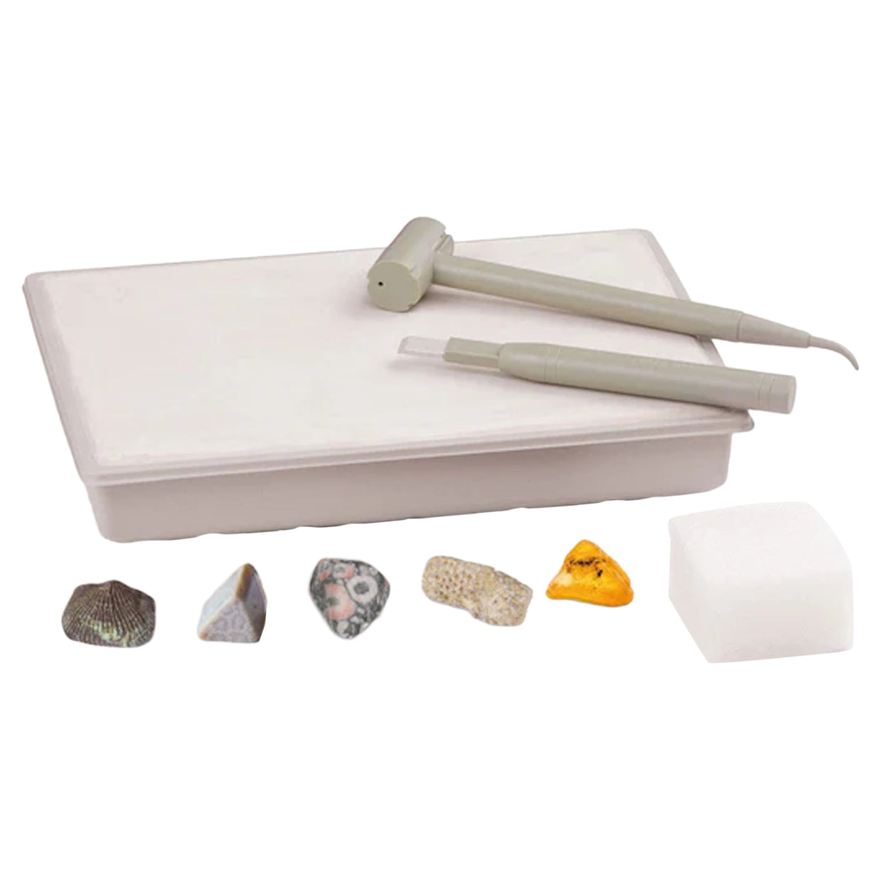 I Dig It! Fossils - Real Fossils Excavation Kit – Mastermind Toys