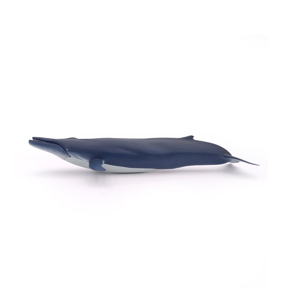 Papo Blue Whale - Mastermind Toys