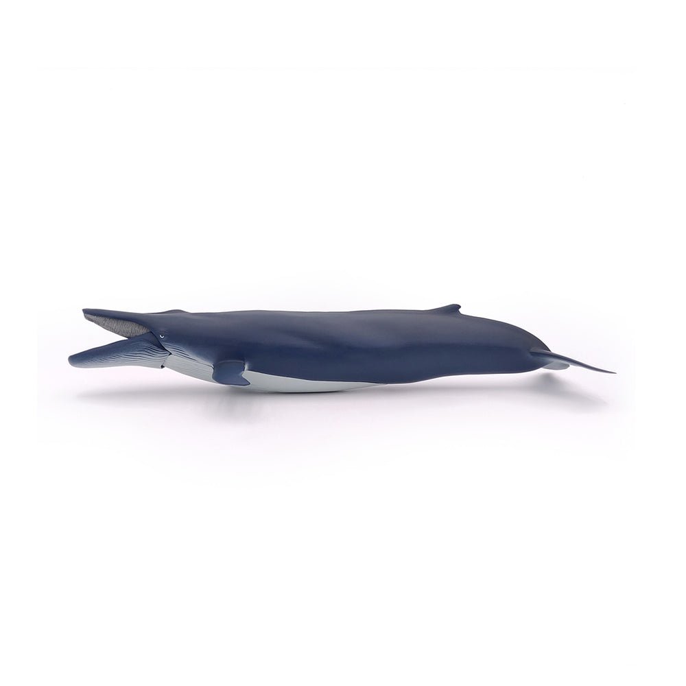 Papo Blue Whale - Mastermind Toys