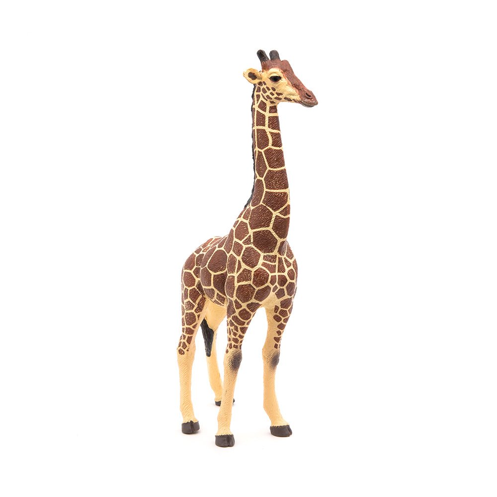 Papo Male Giraffe - Mastermind Toys