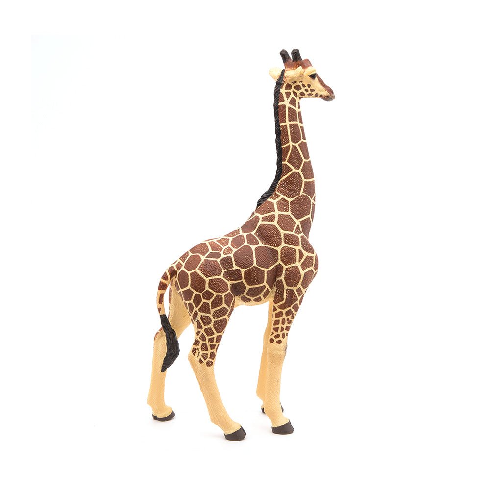 Papo Male Giraffe - Mastermind Toys