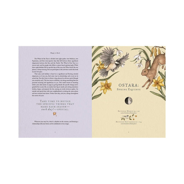 The Wheel of the Year Book - Mastermind Toys