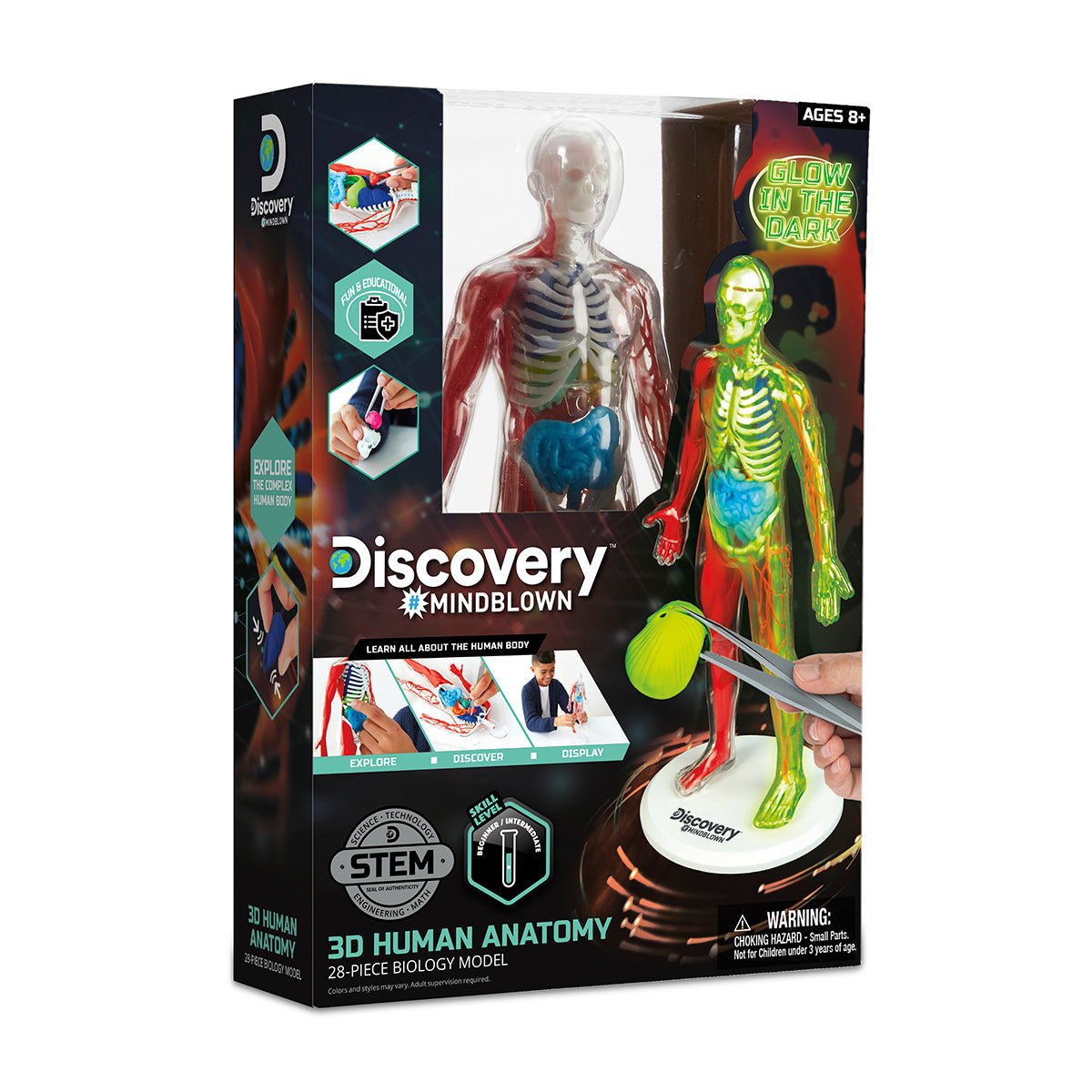 Discovery Toy Human Anatomy Kit – Mastermind Toys