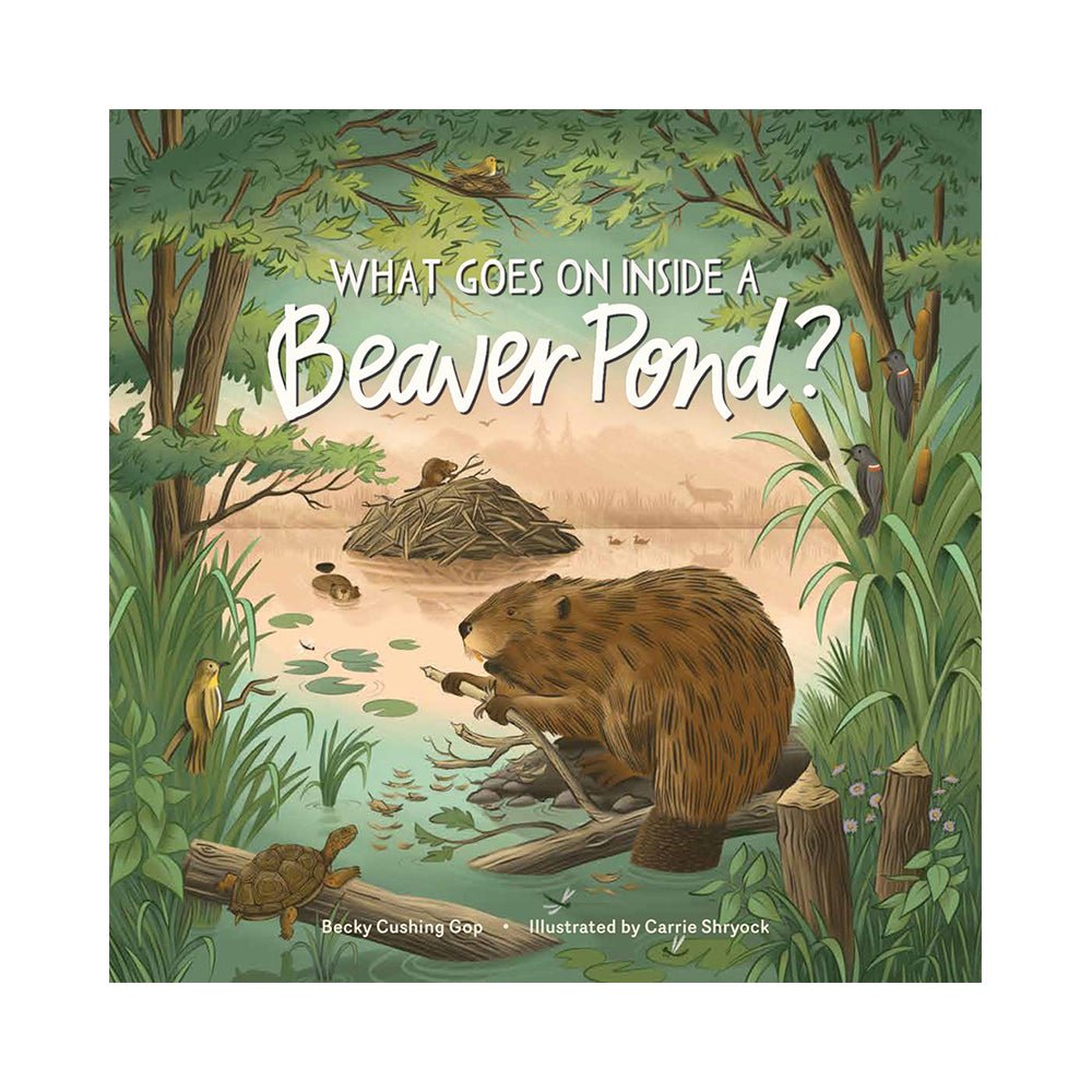 What Goes on inside a Beaver Pond? – Mastermind Toys