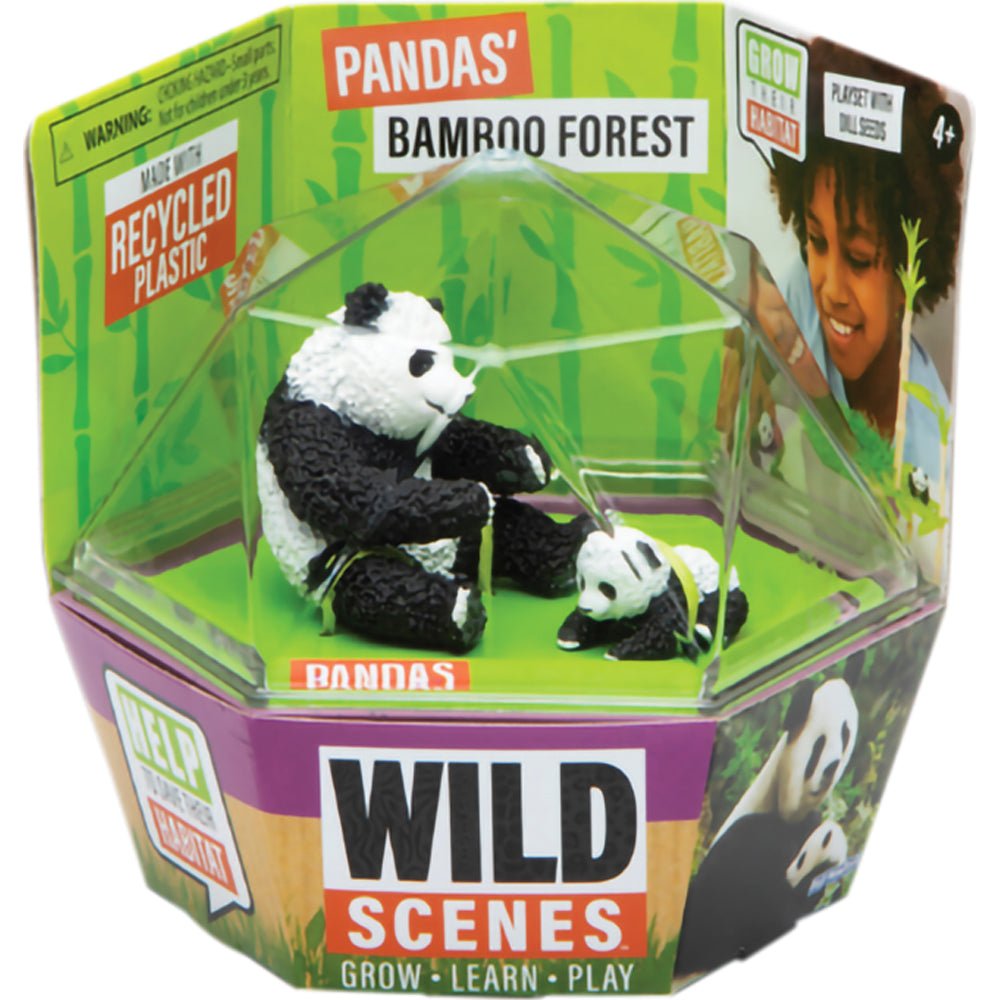 Wild Scenes Panda's Bamboo Forest – Mastermind Toys